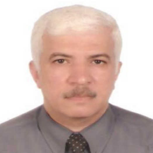 Mohamed Radwan Ahmed Photo